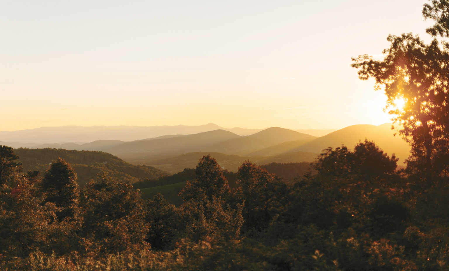 Supporting Supplier Sustainability with the IFC - Levi Strauss & Co ...