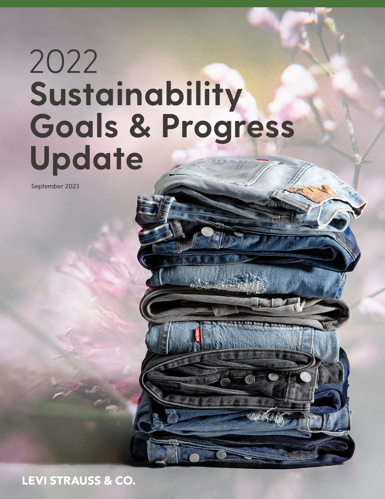 Sustainability - Report Landing - Levi Strauss & Co : Levi Strauss & Co
